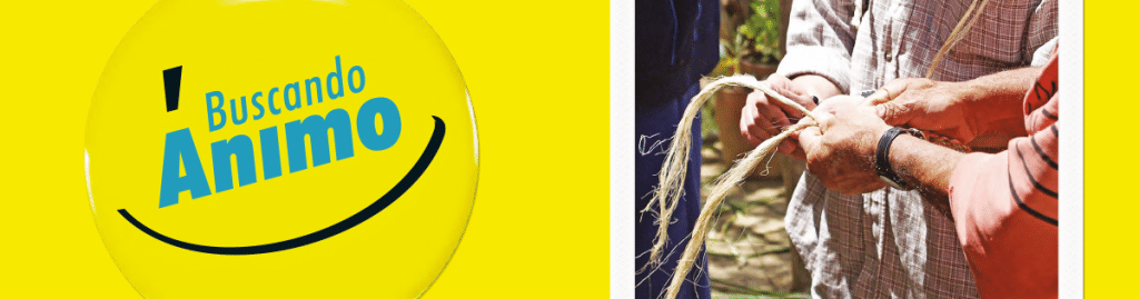 Buscando ánimo: talleres de apoyo psicoeducativo para padres y madres ...